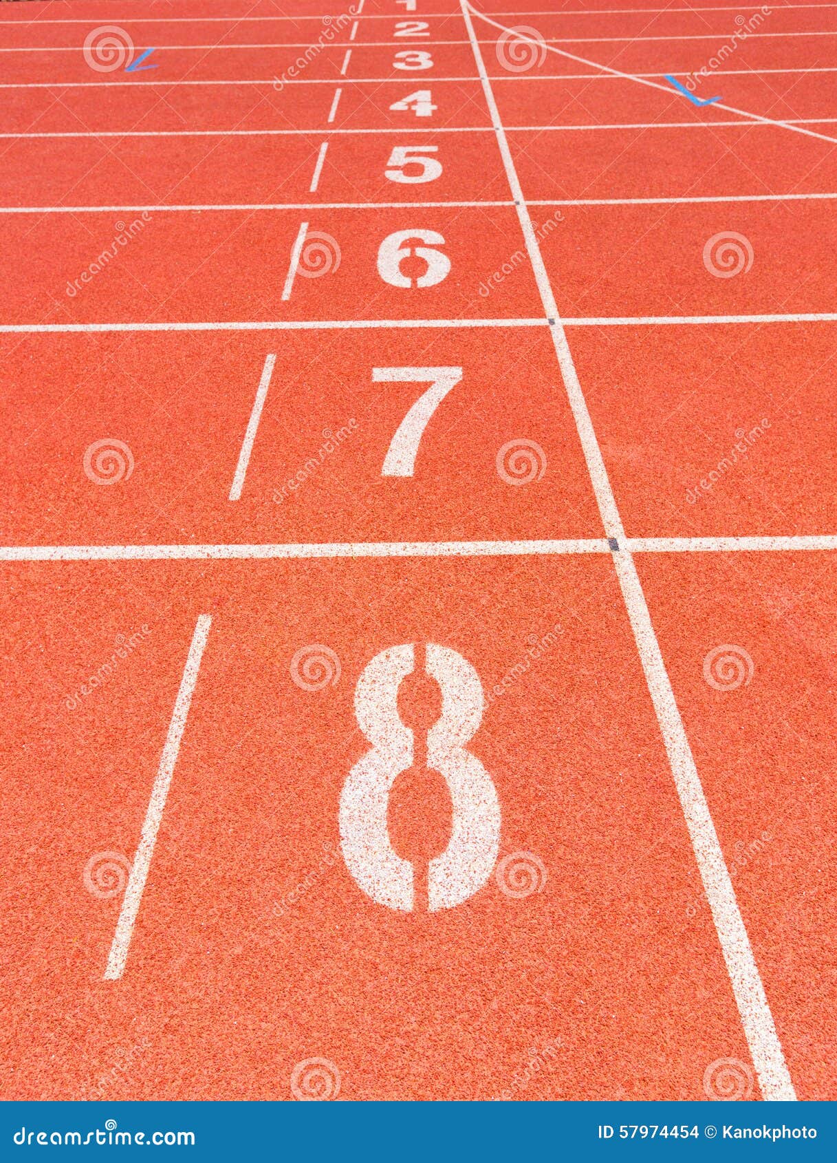 Starting Line stock photo. Image of running, sports, concentration ...