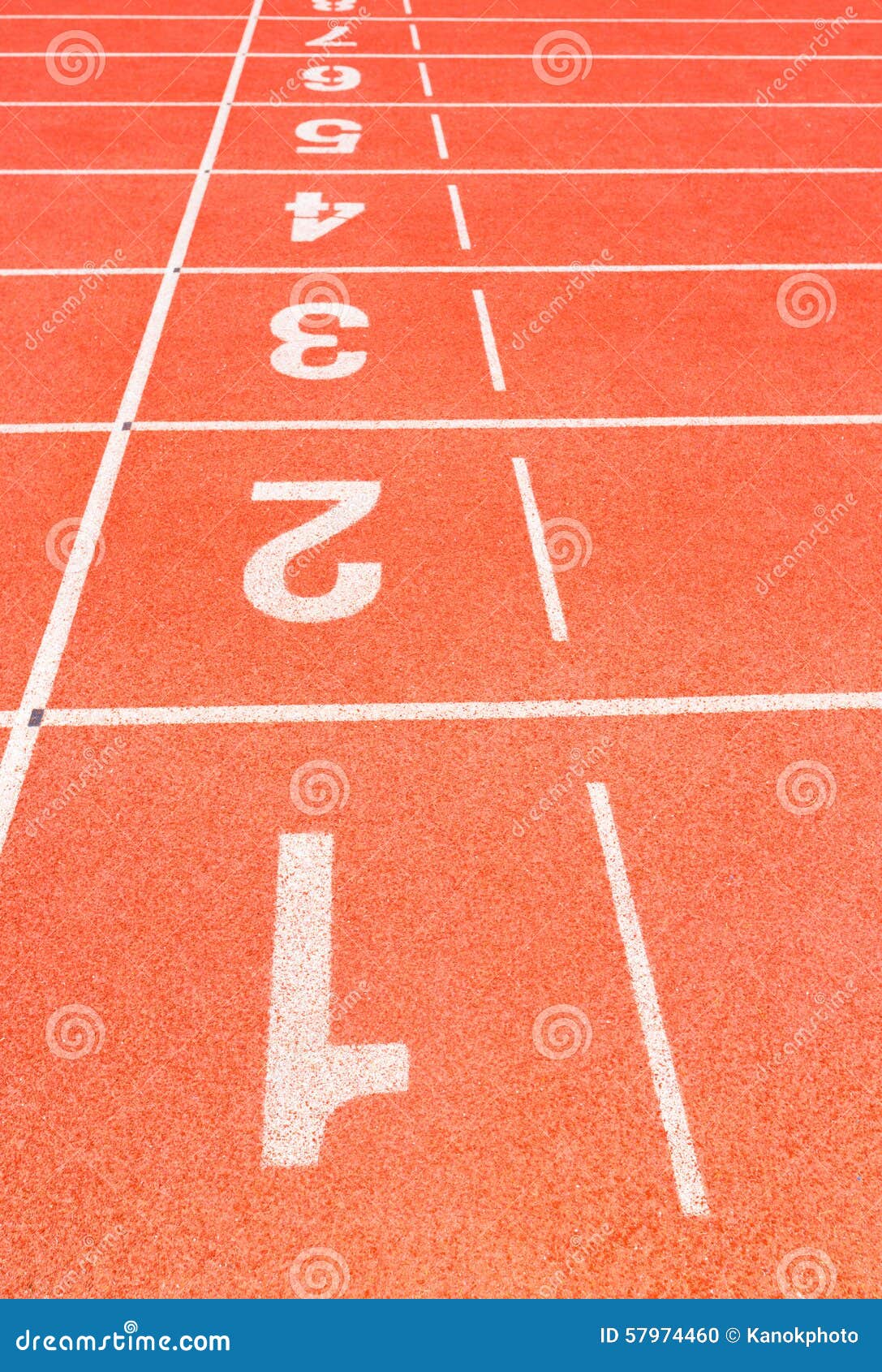 Starting Line stock photo. Image of race, sprint, artificial - 57974460