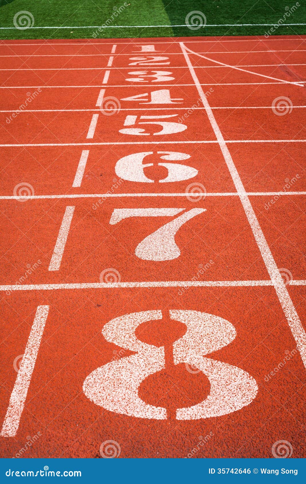 Starting mark stock photo. Image of field, school, outdoor - 35742646