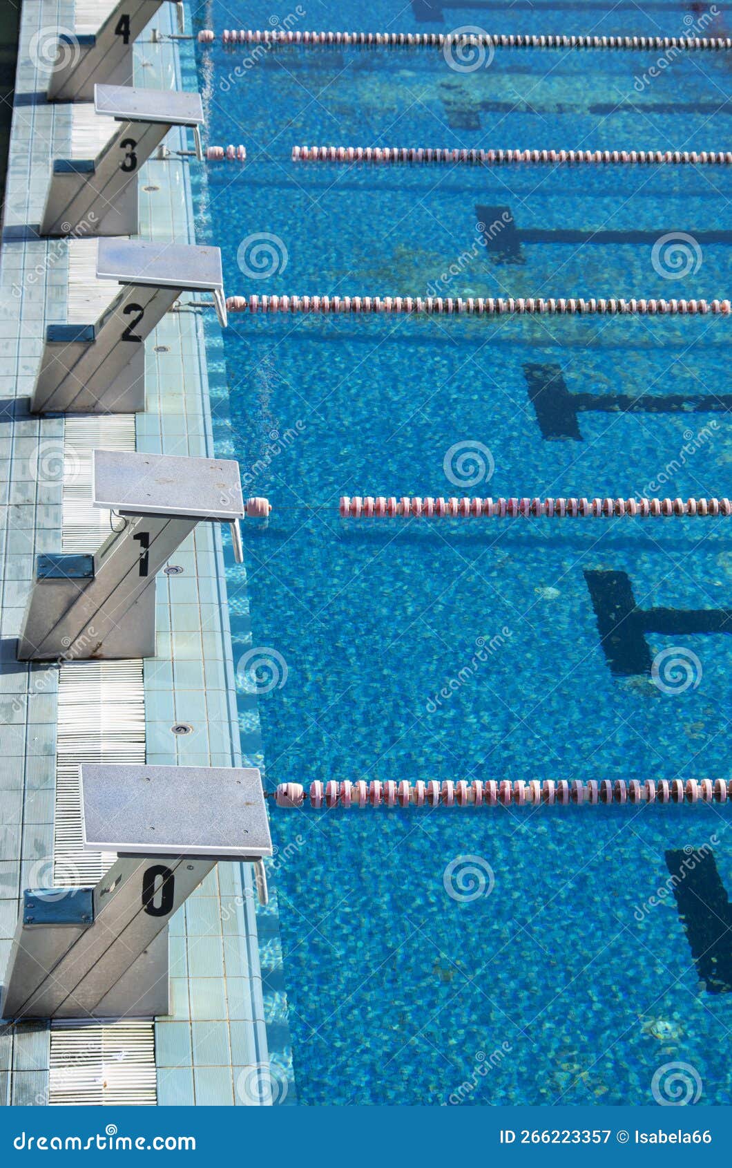 Starting Platforms with Numbers for Swimming Races Stock Image - Image ...