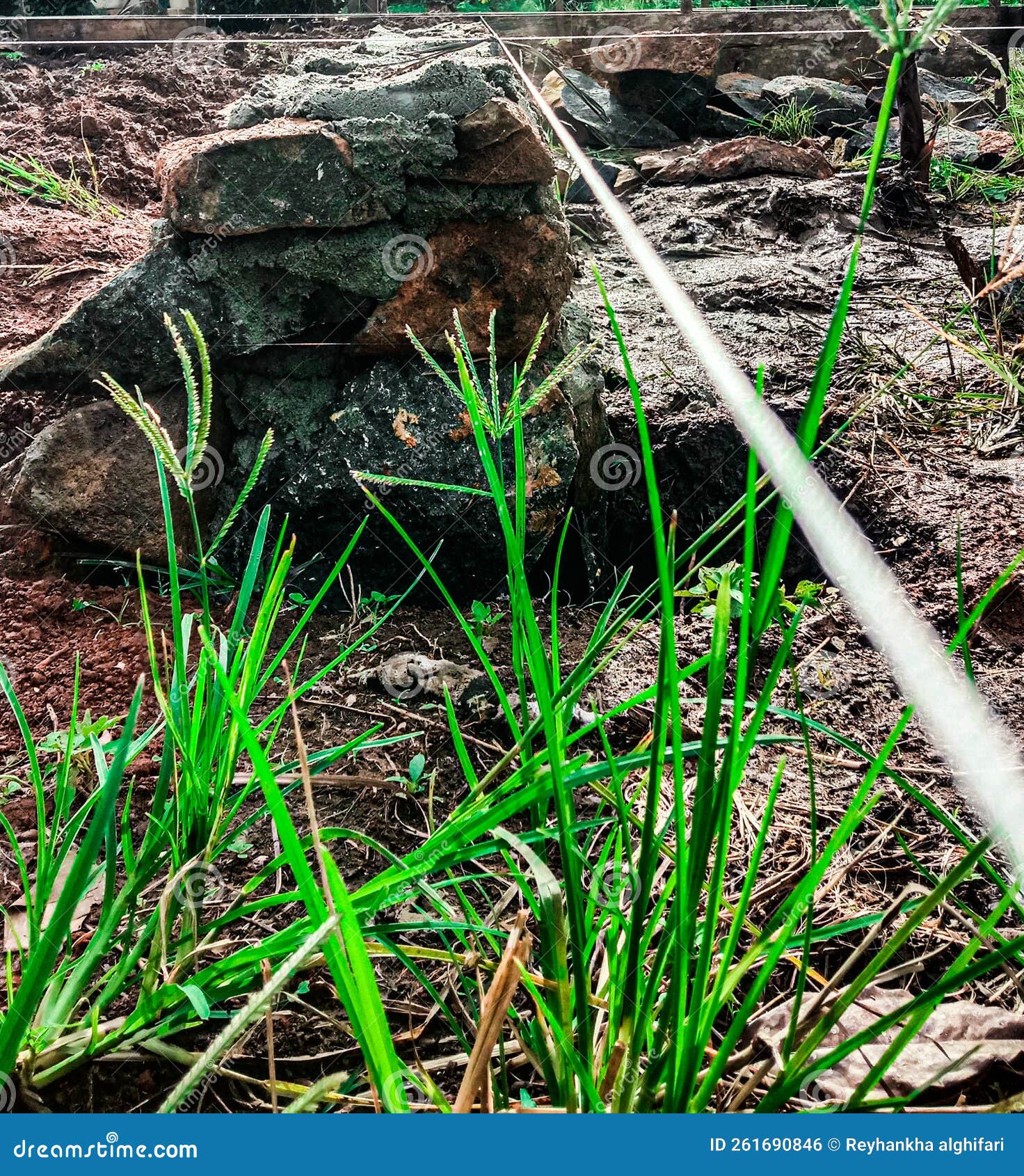 Starting Something Must Be with Good Intentions Stock Photo - Image of ...