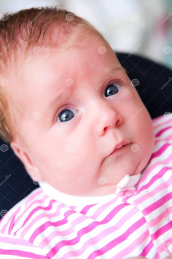 Startled baby stock image. Image of astounded, portrait - 14250261