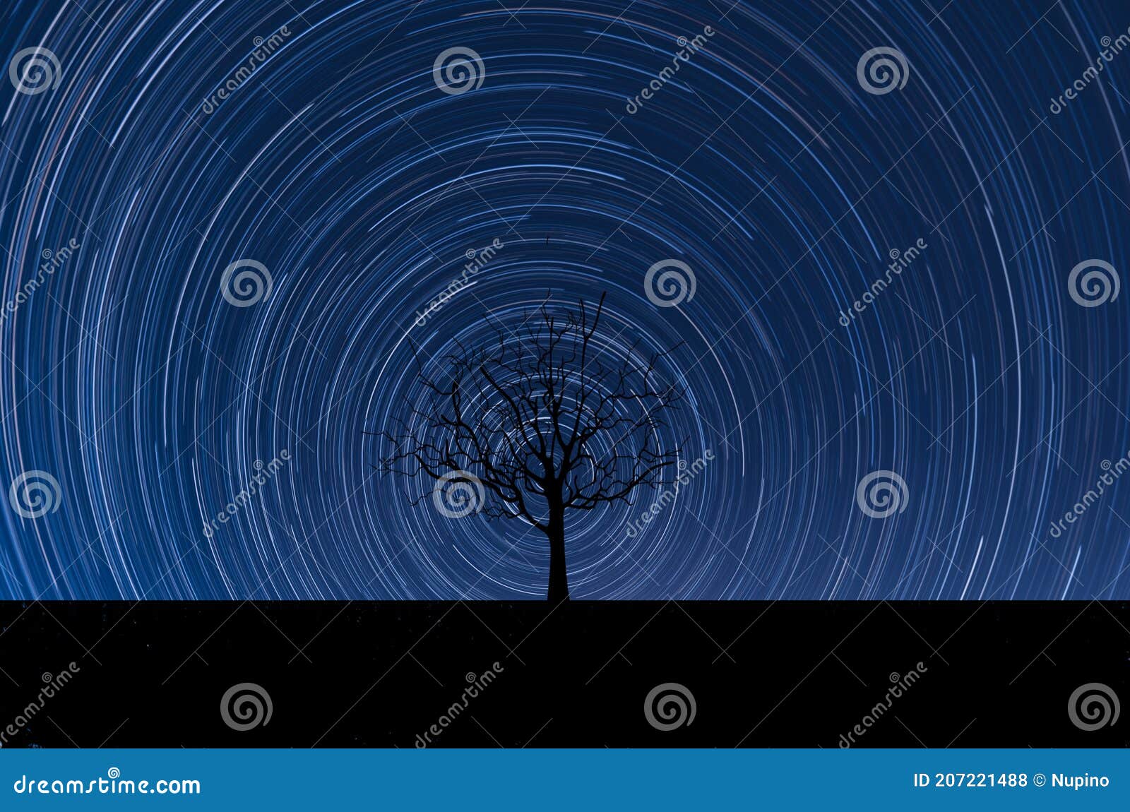 Startrails Spin Around the Tree Stock Photo - Image of trails, spinning ...