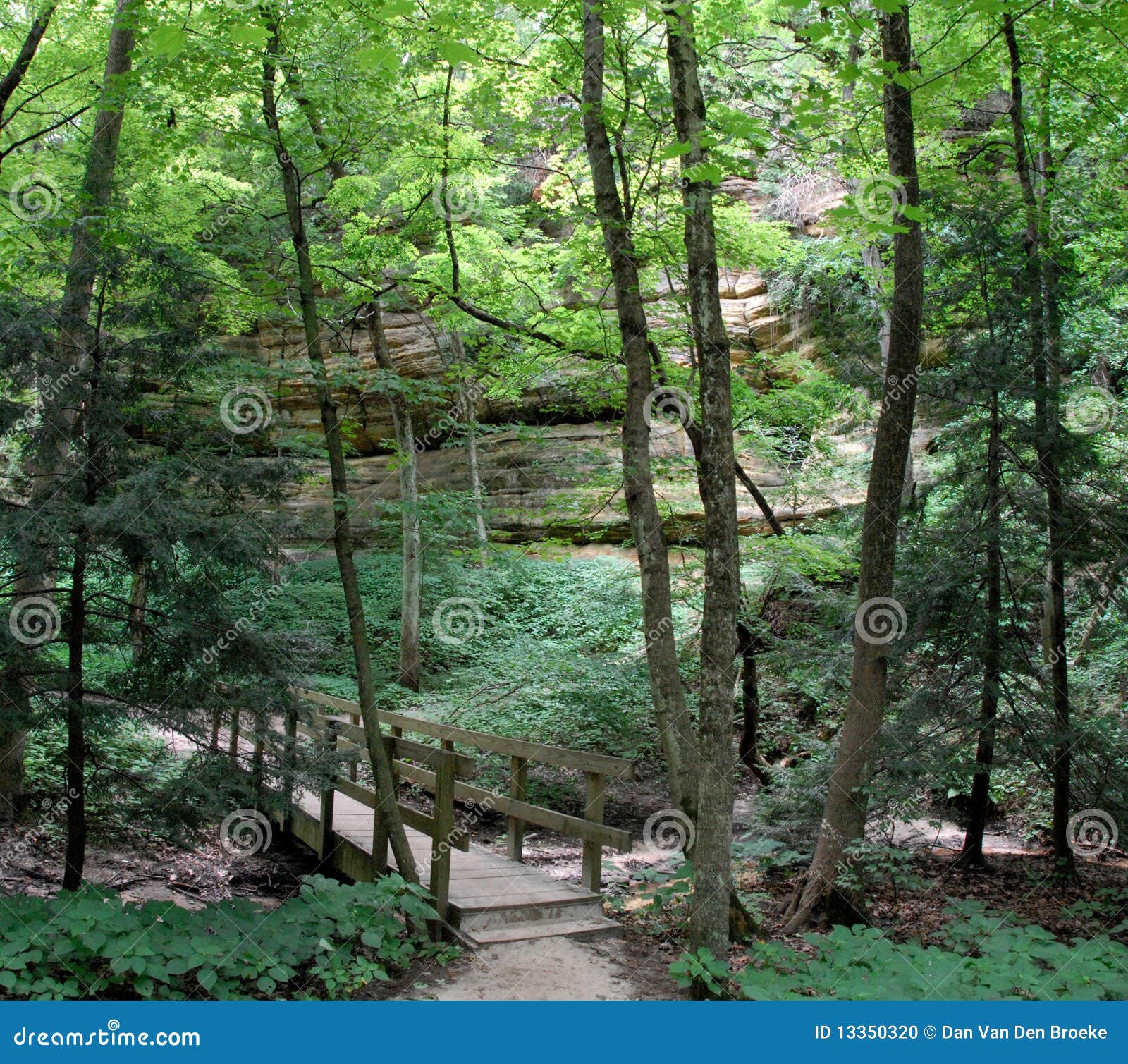 Starved rock trail stock photo. Image of leaves, trees - 13350320
