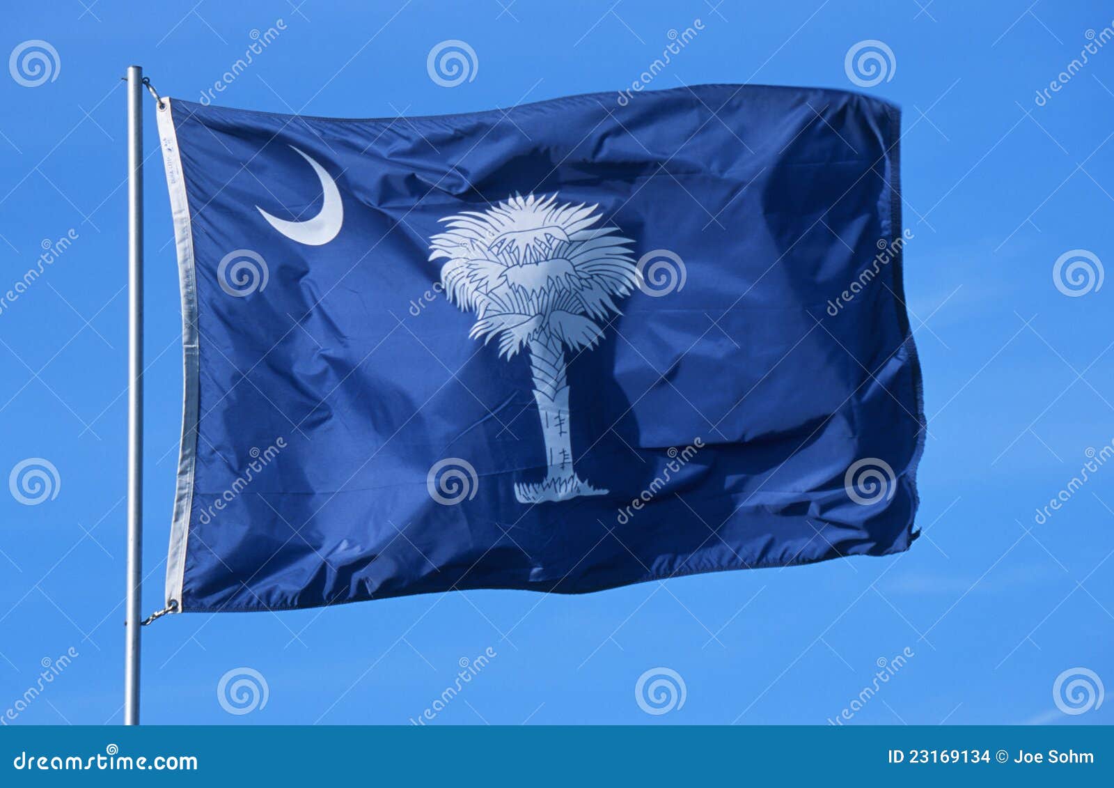 State Flag of South Carolina Stock Photo - Image of pole, states: 23169134