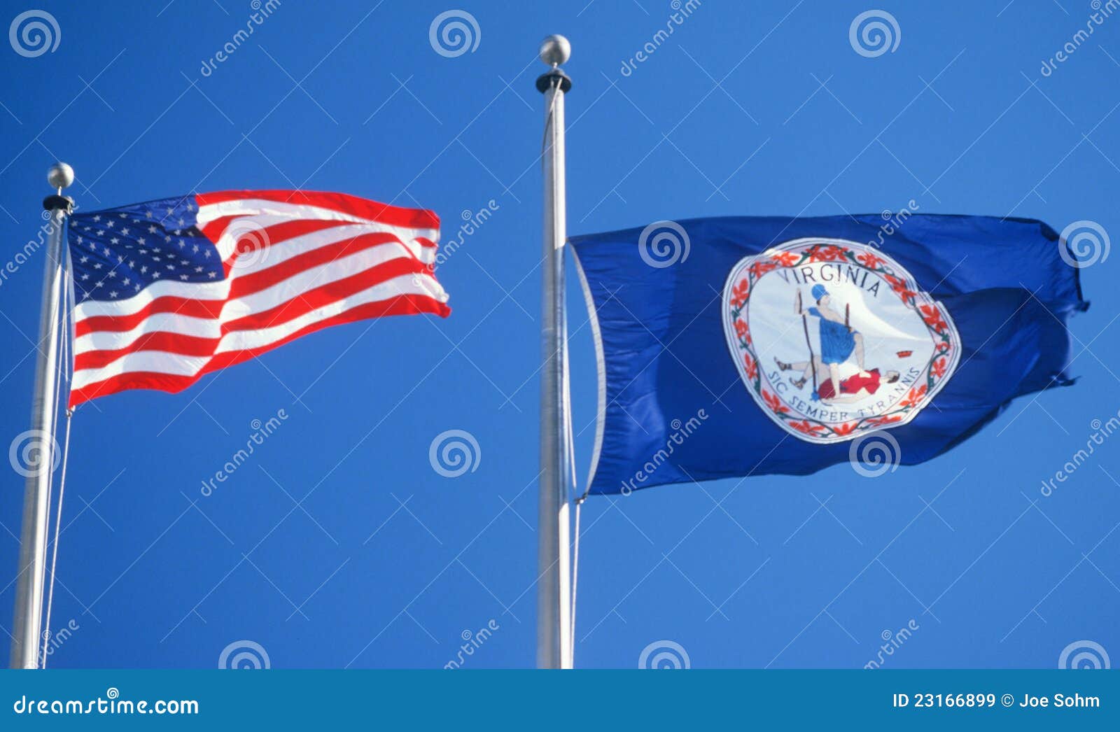 State Flag of Virginia stock image. Image of united, southern - 23166899