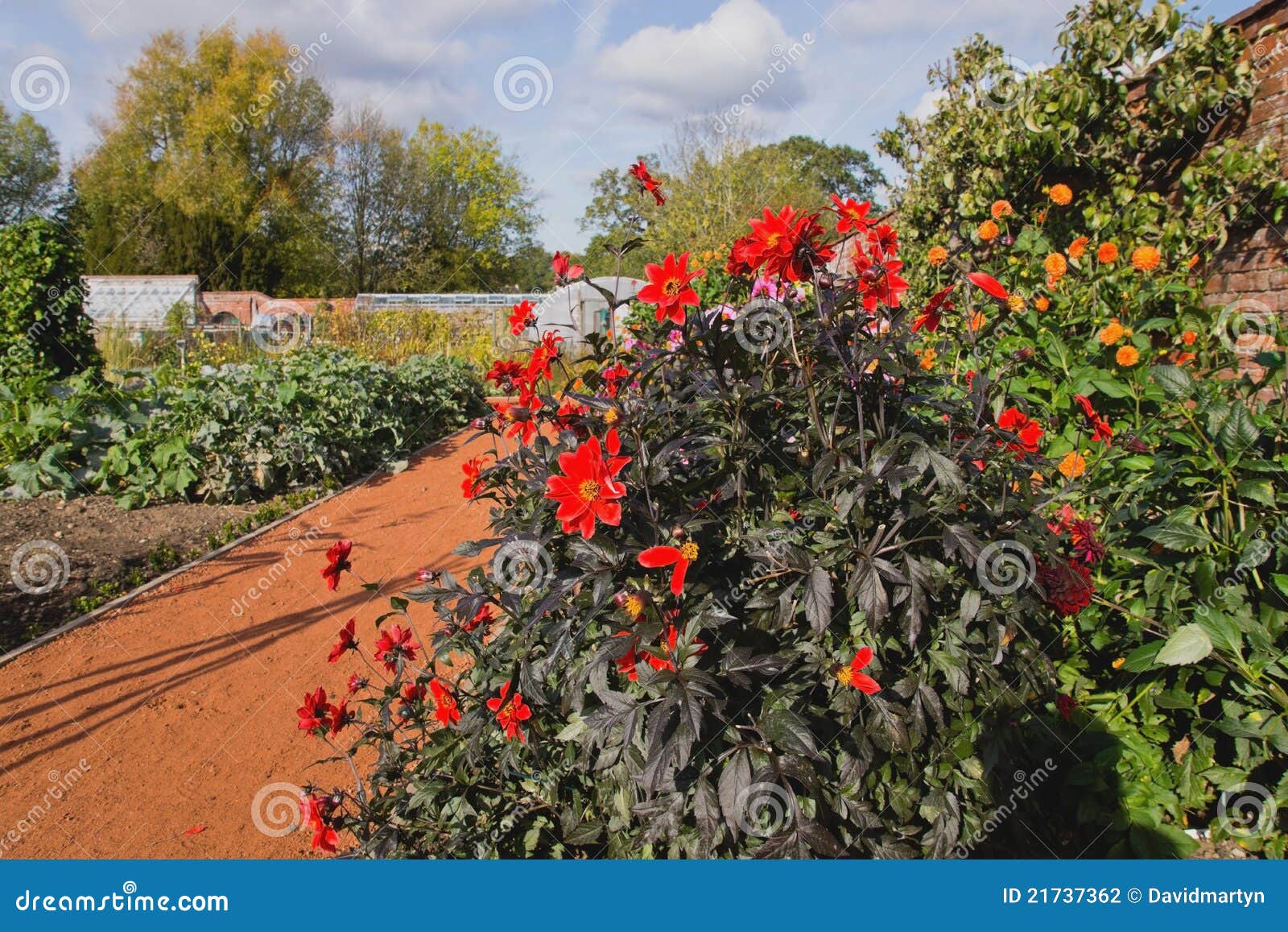 Stately home stock photo. Image of house, great, property - 21737362