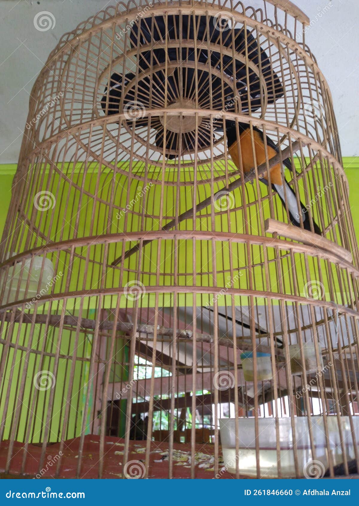 A Statement Where between Home or Prison for Caged Birds Stock Photo ...