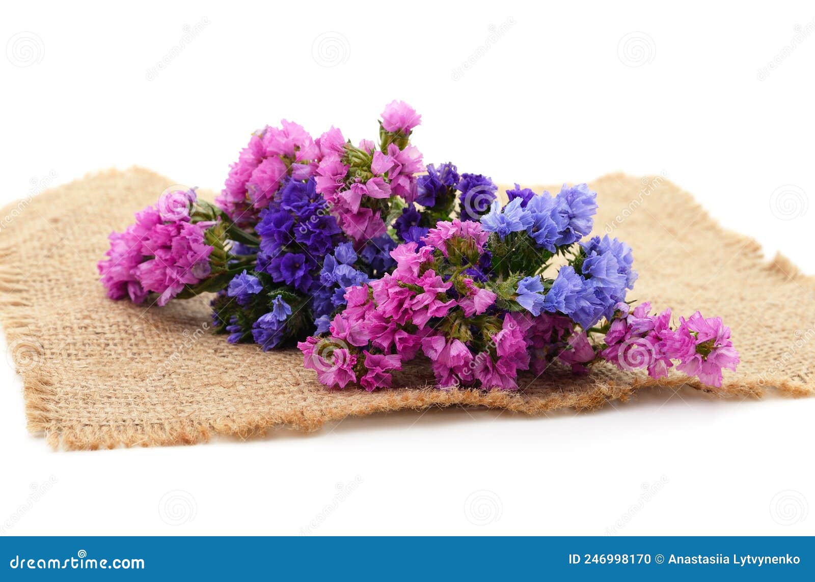 Static flowers on burlap stock photo. Image of nature - 246998170