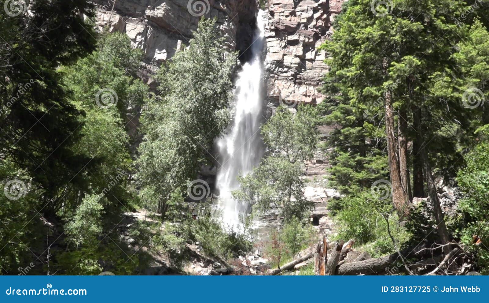 Static View of Cascade Falls through Trees Ouray Colorado 4K Stock ...