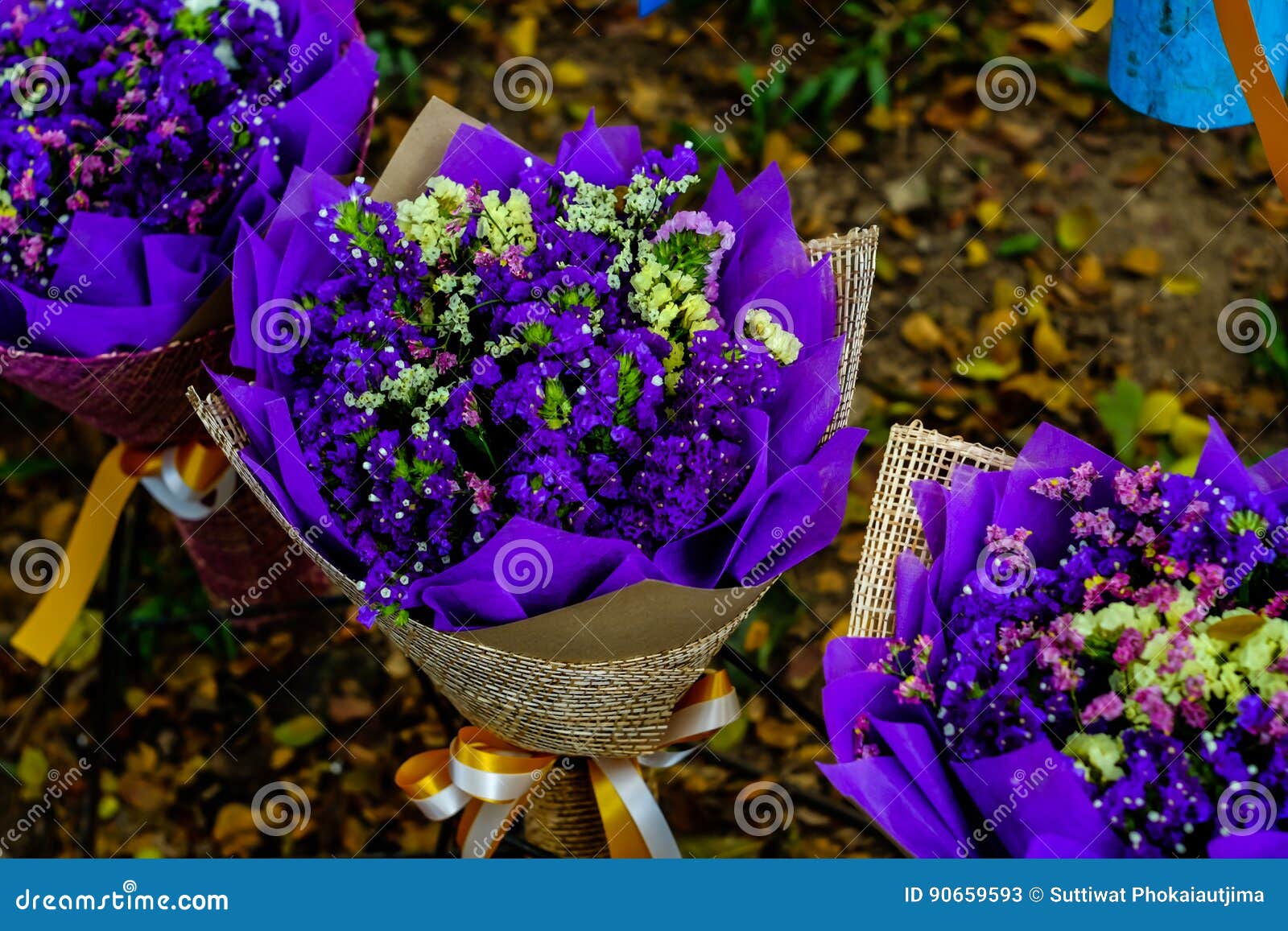 Statice flower stock image. Image of nature, arrangement - 90659593