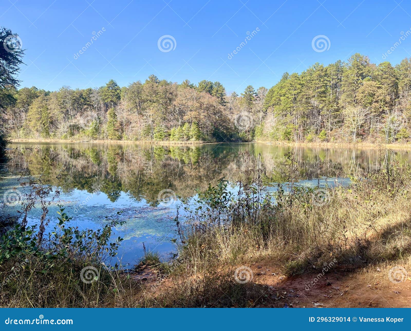The Pond at Oconee Station State Historic Site, Walhalla, SC. Stock ...