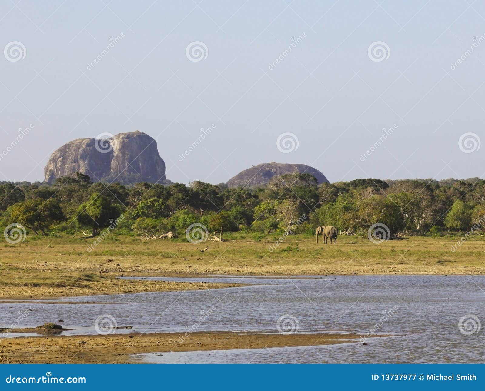 Stationnement National De Yala Image stock - Image du flore, faune ...