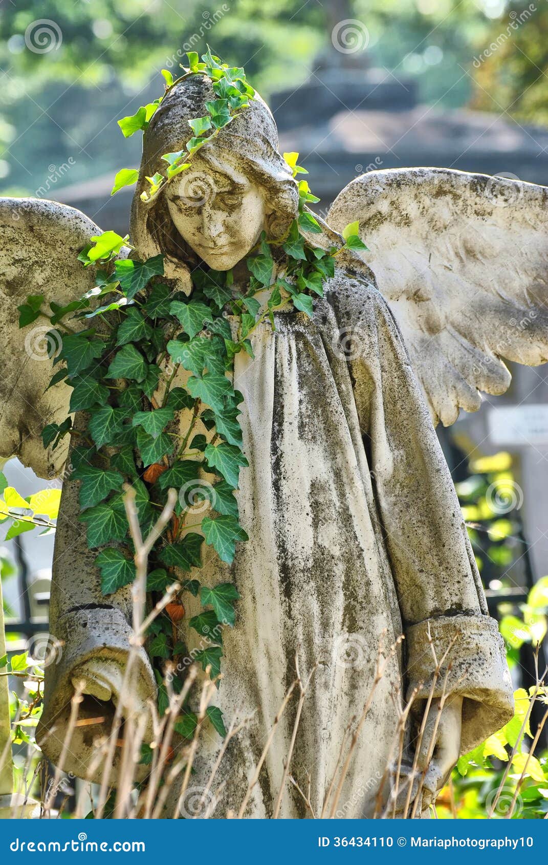 Statua Di Angelo in Un Cimitero Fotografia Stock - Immagine di vita ...