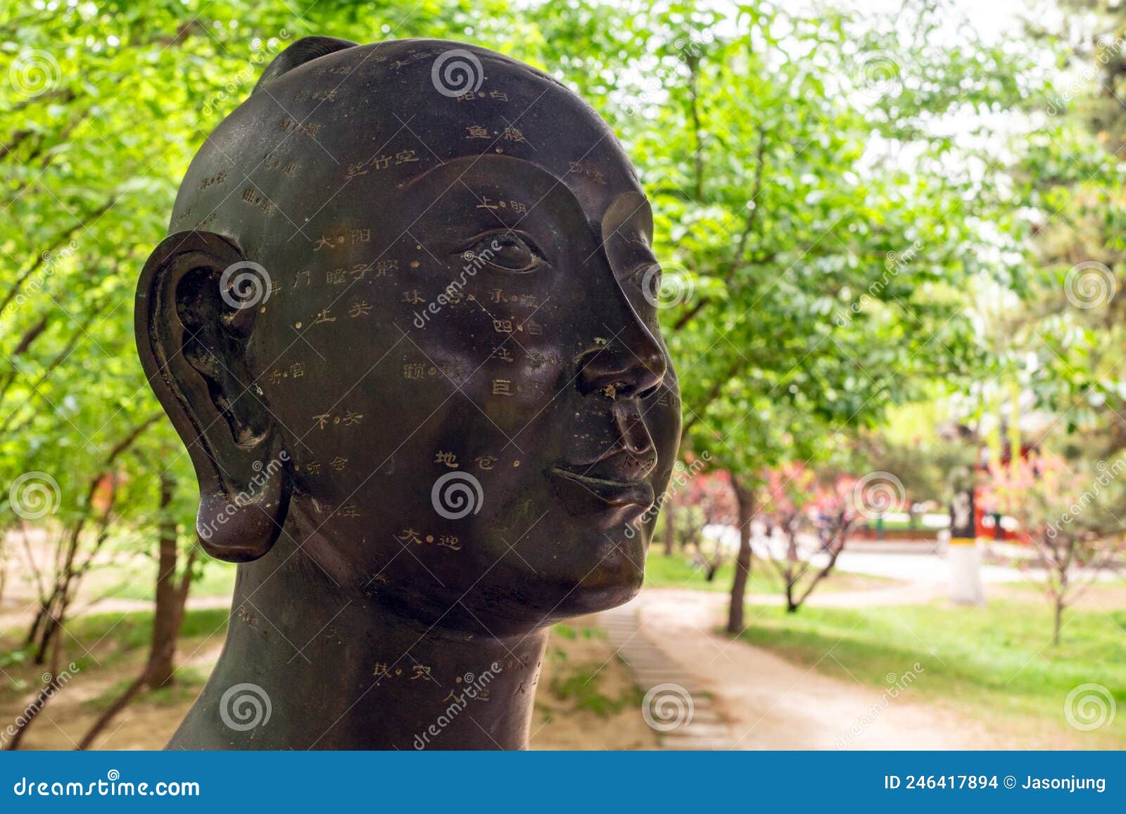 Acupuncture Statue Showing Meridians Stock Photography | CartoonDealer ...