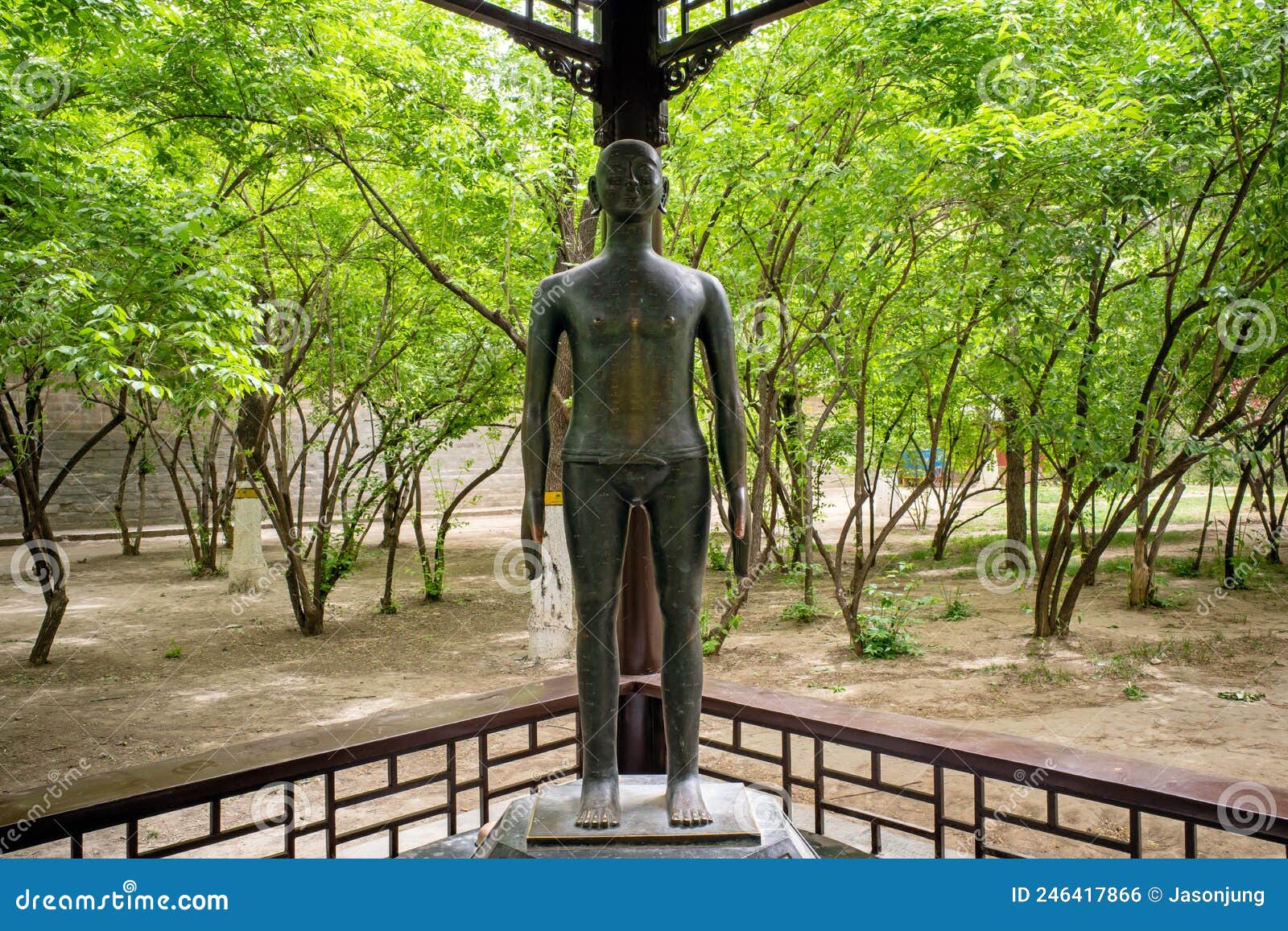 Acupuncture Statue Showing Meridians Stock Photography | CartoonDealer ...