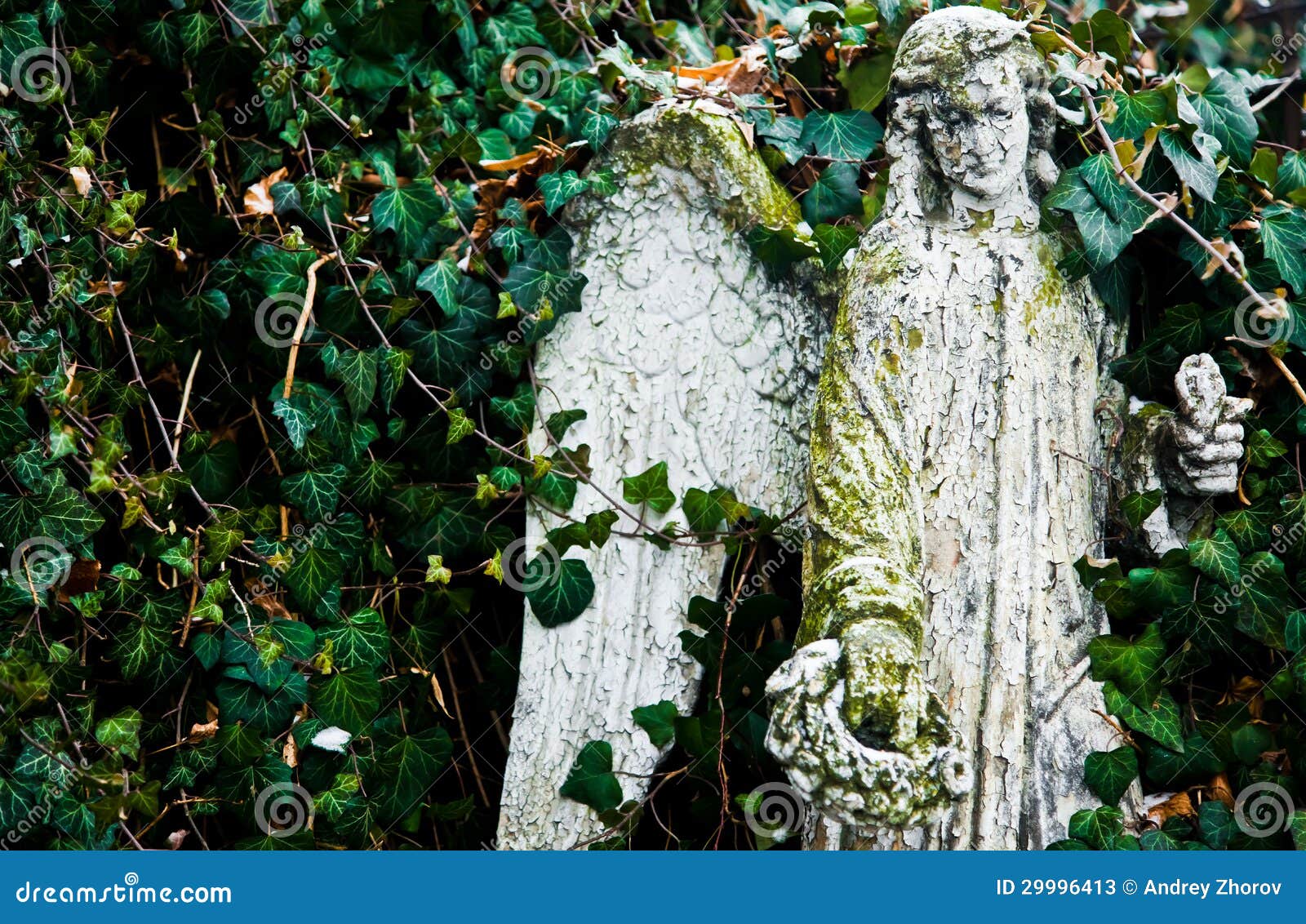 The Statue of a White Angel in Grapevine Stock Image - Image of human ...