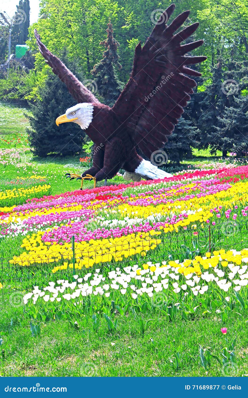 Statue of Bald Eagle and Field of Tulips Editorial Photography - Image ...