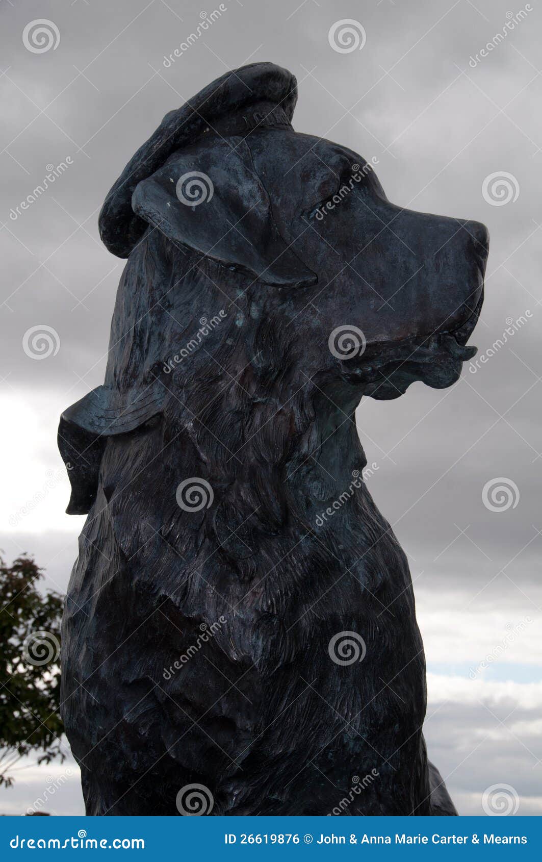 Statue Of Bamse St Bernard Front Of South Esk, Montrose, Angus ...