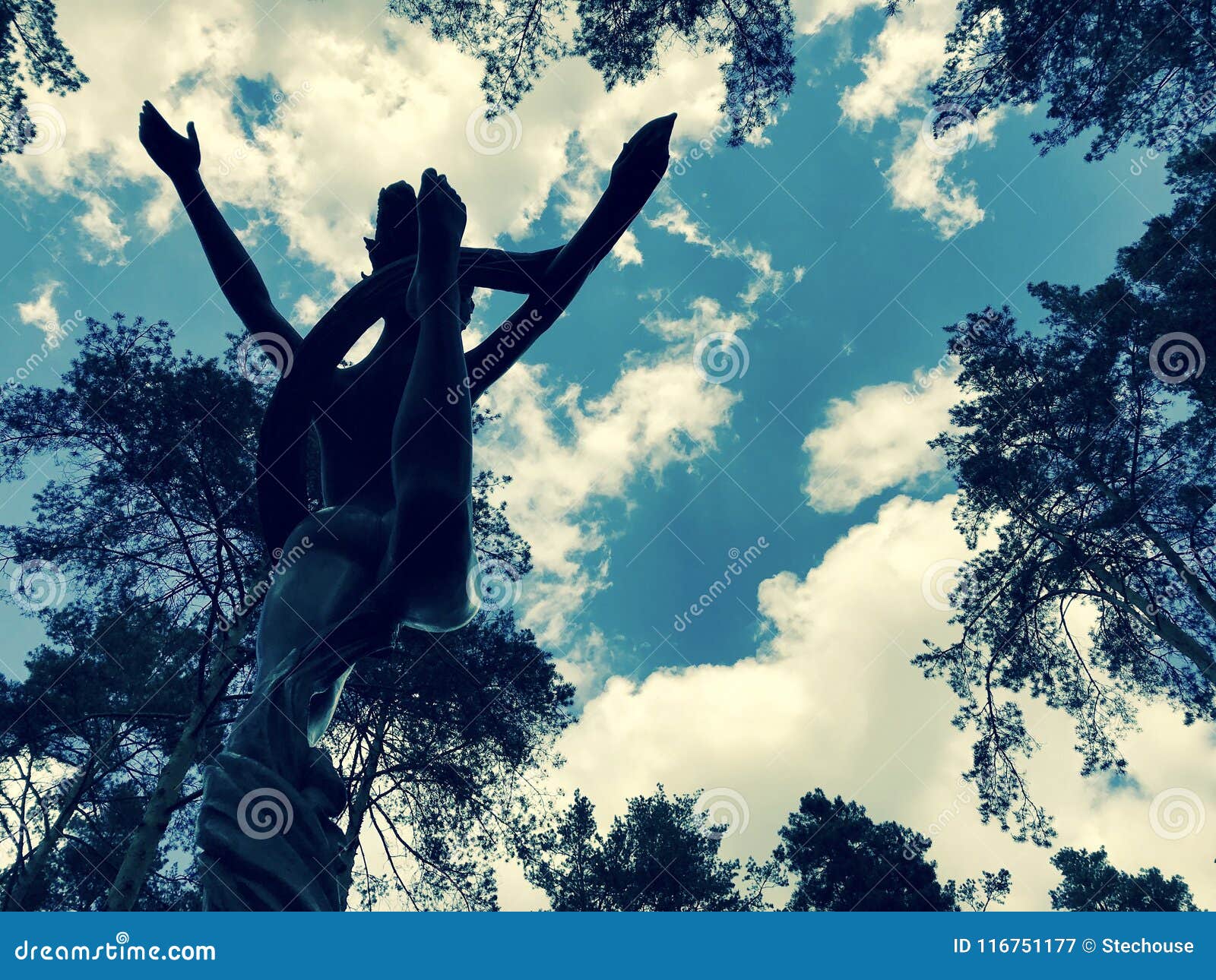 A Statue of a Beautiful Under Tall Pine Trees - STATUE - FOREST Stock ...