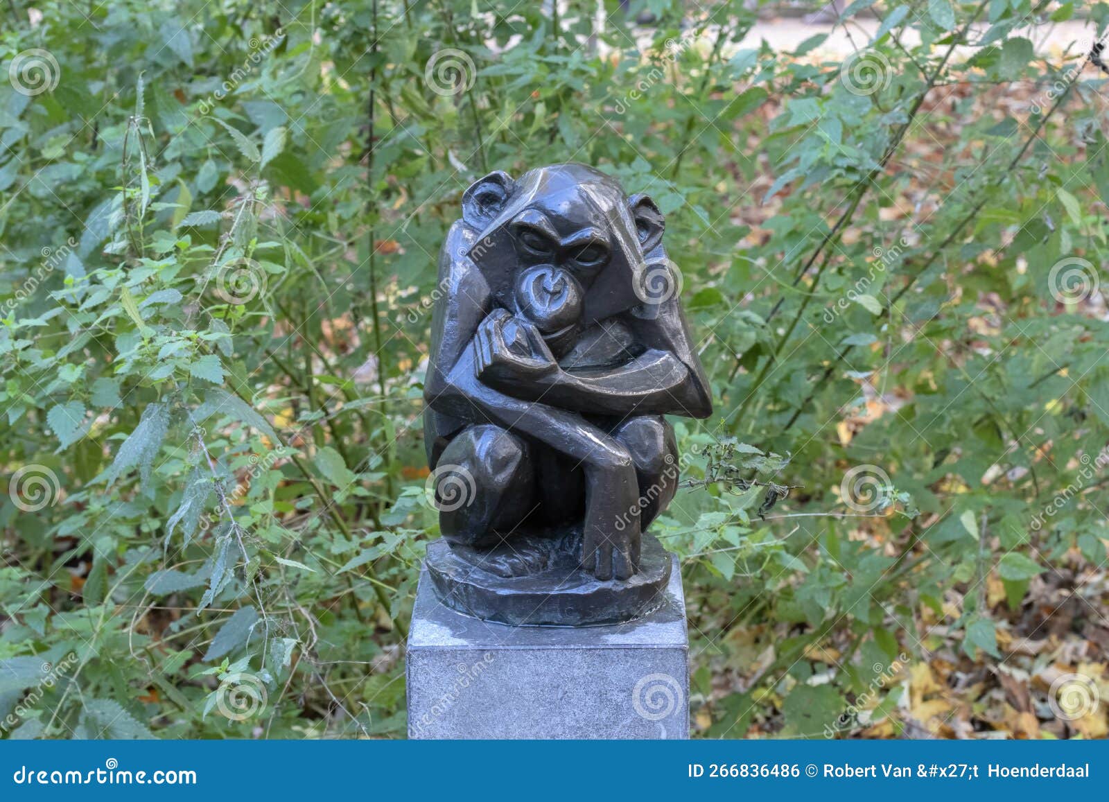 Statue Bonobo Mafuka at Amsterdam the Netherlands 2-11-2022 Editorial ...