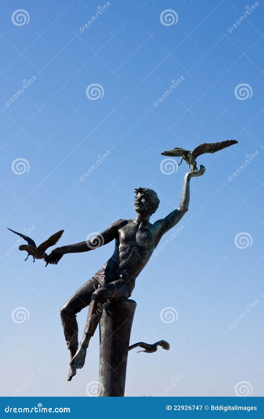 Statue of a Boy with Birds stock image. Image of wing - 22926747