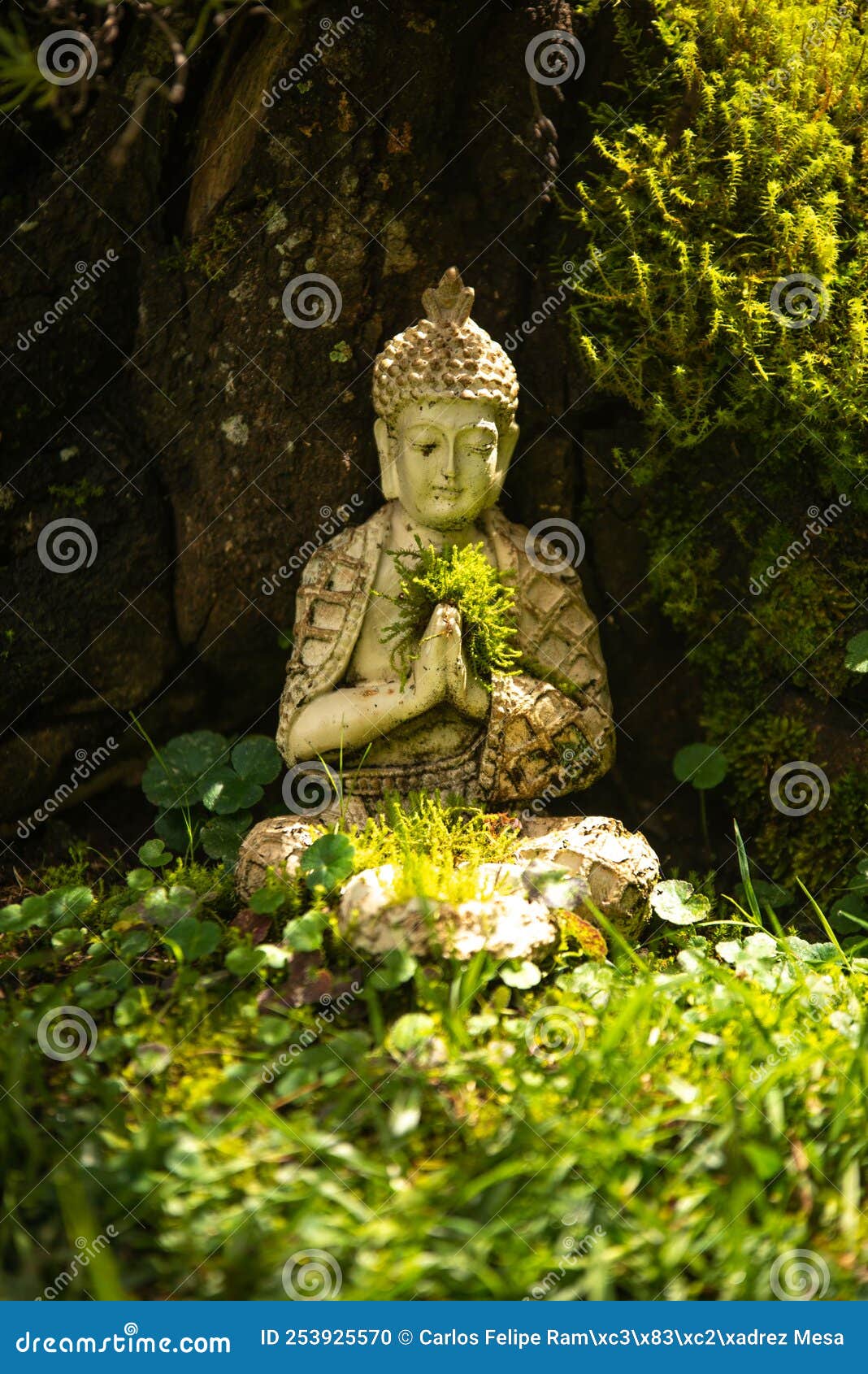 Statue of Buddha in a Green Field with Moss and Grass Stock Photo ...