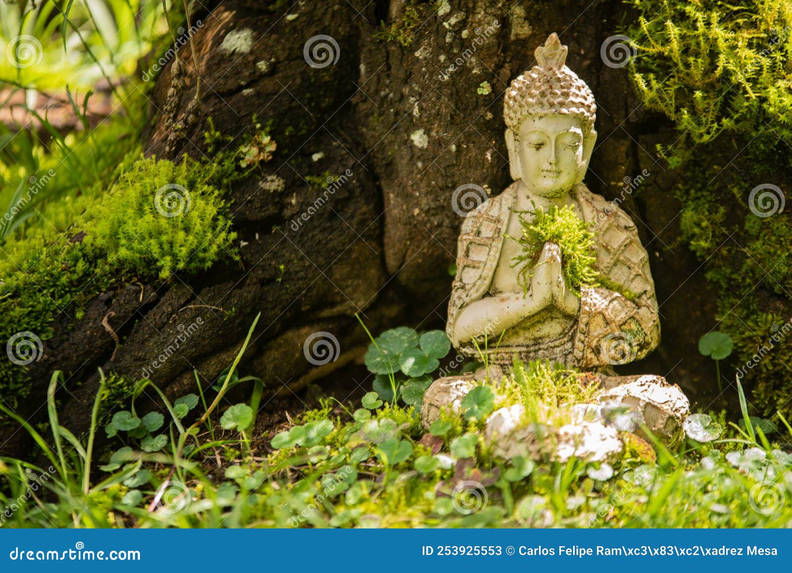 Statue of Buddha in a Green Field with Moss and Grass Stock Image ...