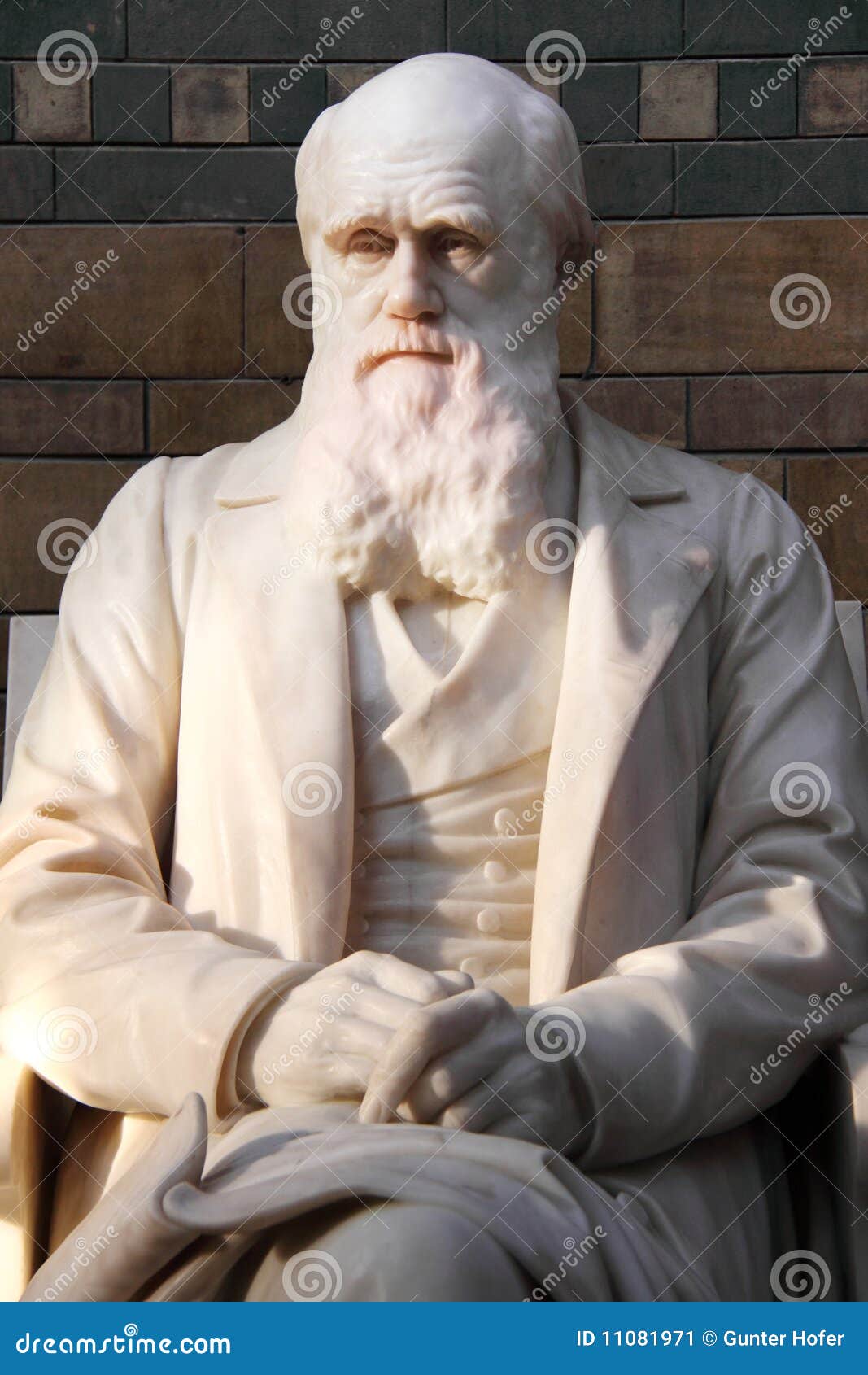 Statue of Charles Darwin editorial photo. Image of travel - 11081971