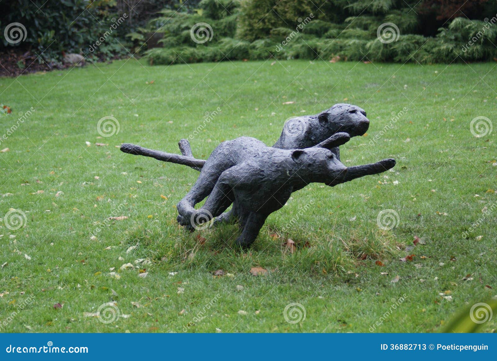 Cheetah Domain Photos - Free & Royalty-Free Stock Photos from Dreamstime