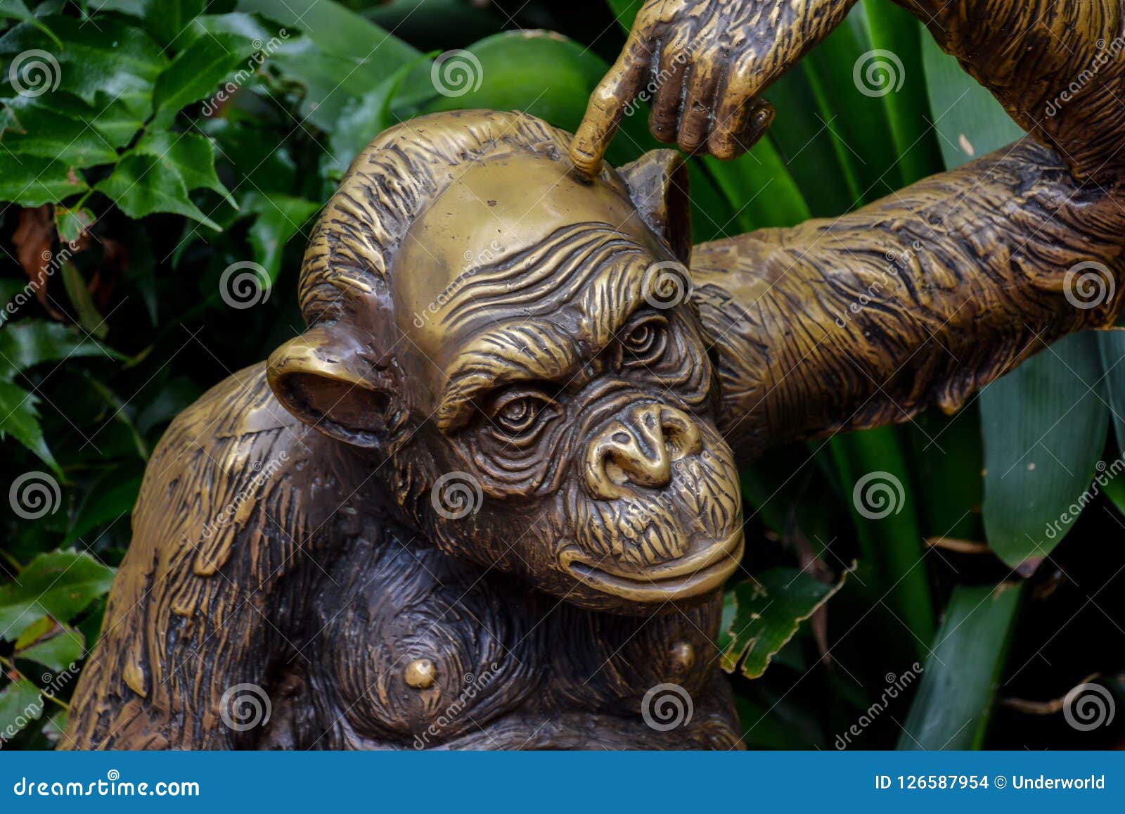 Statue of Chimpanzee stock photo. Image of animal, nature - 126587954