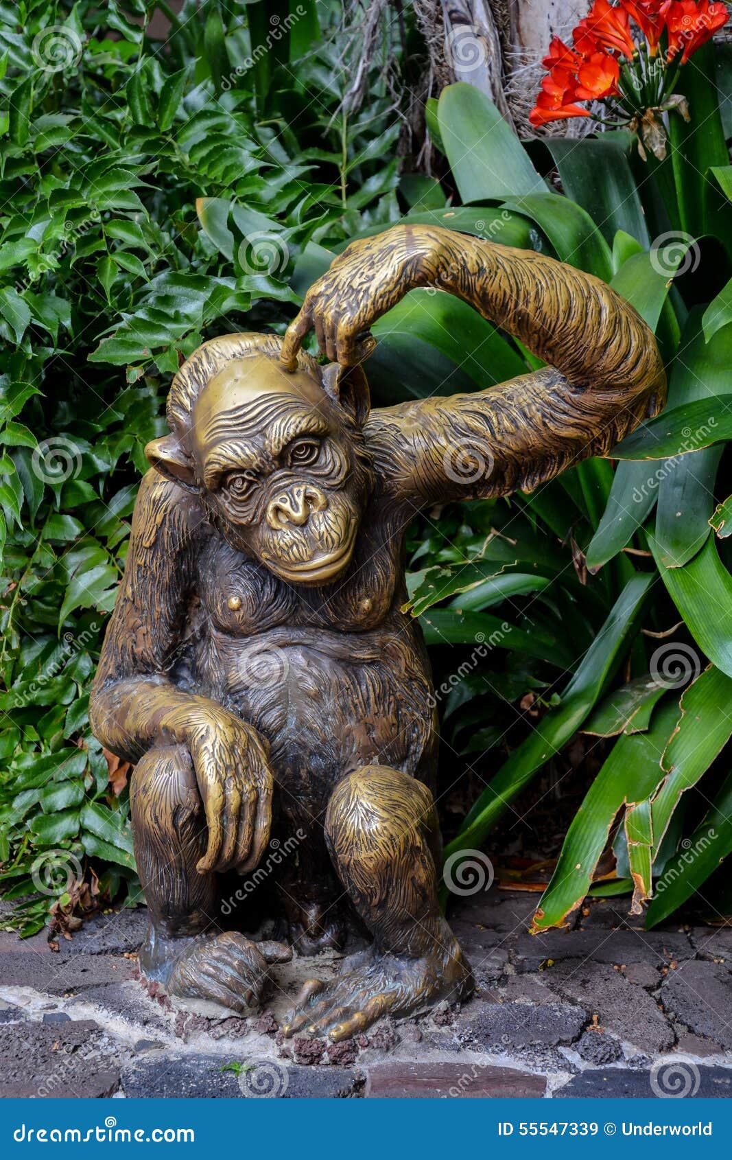 Statue of Chimpanzee stock image. Image of monkey, nature - 55547339