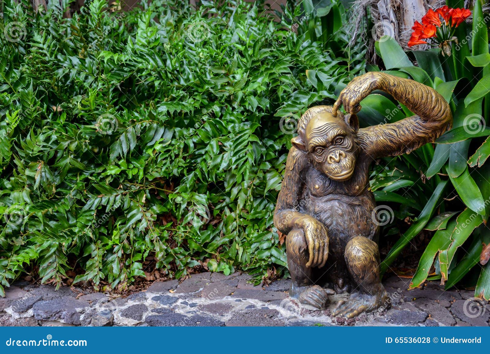 Statue of Chimpanzee stock photo. Image of wildlife, bronze - 65536028