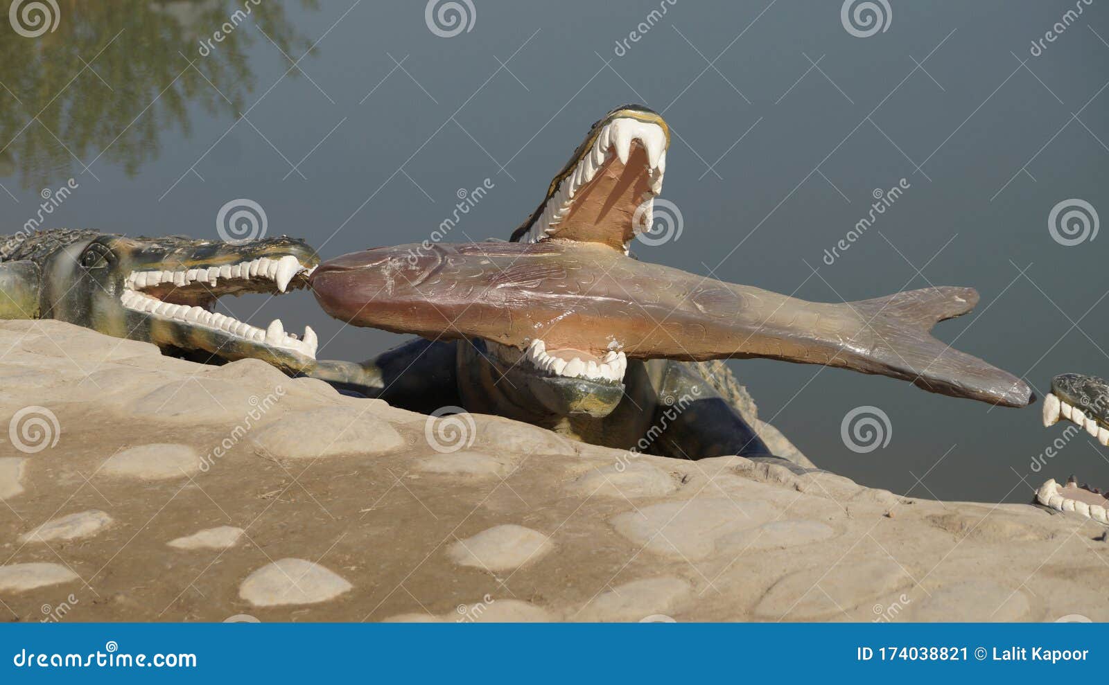 A Statue of a Crocodile Catching a Fish Stock Image - Image of historic ...