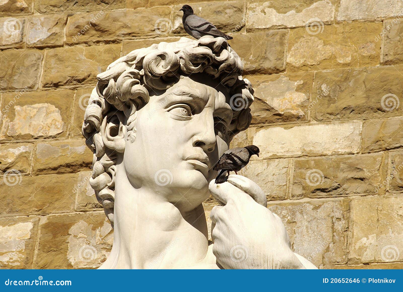 Statue Of David Hand