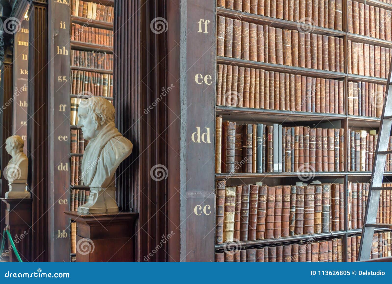 Statue E Scaffali Per Libri Nella Stanza Lunga Nella Vecchia Biblioteca ...