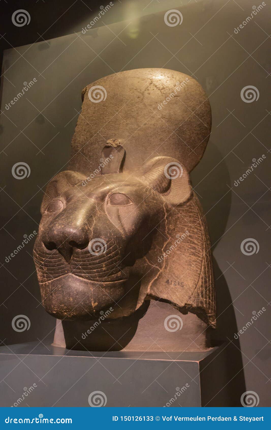 Statue Of The Head Of Renowned Mathematician In Park From Mexico City ...