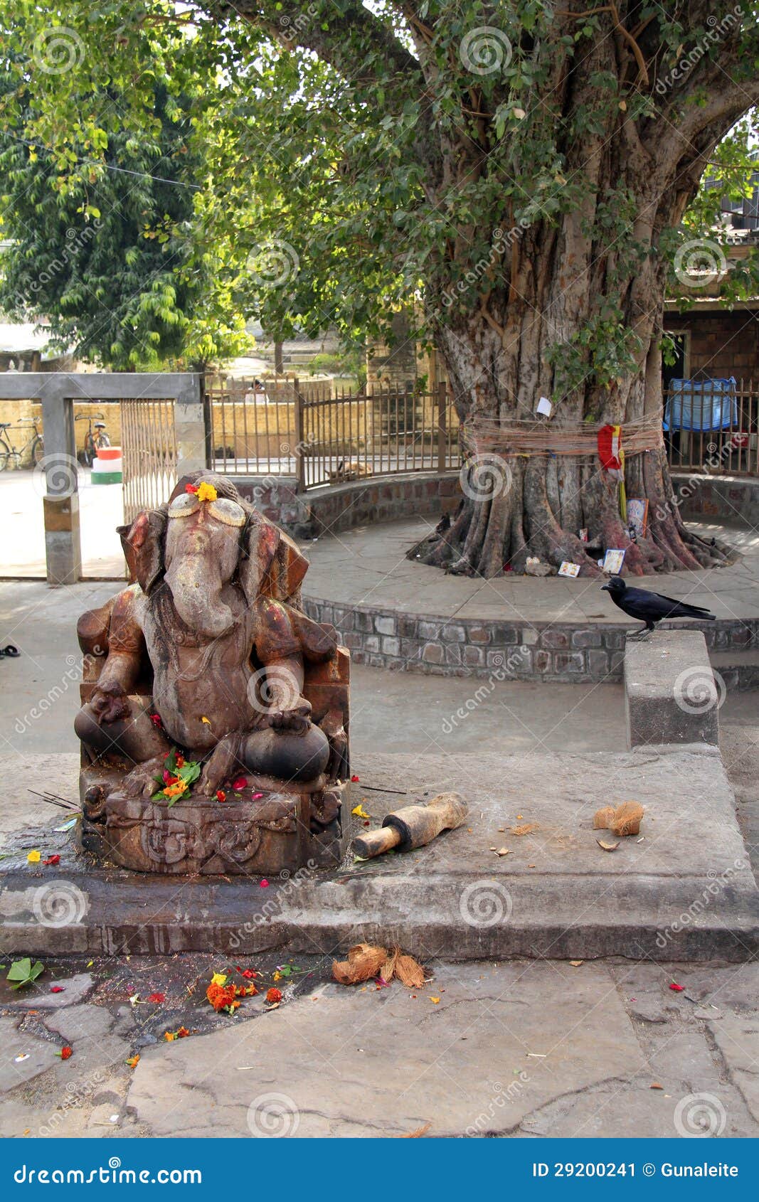 Statue of Hindu God Ganesh Near Large Tree Stock Image - Image of rock ...