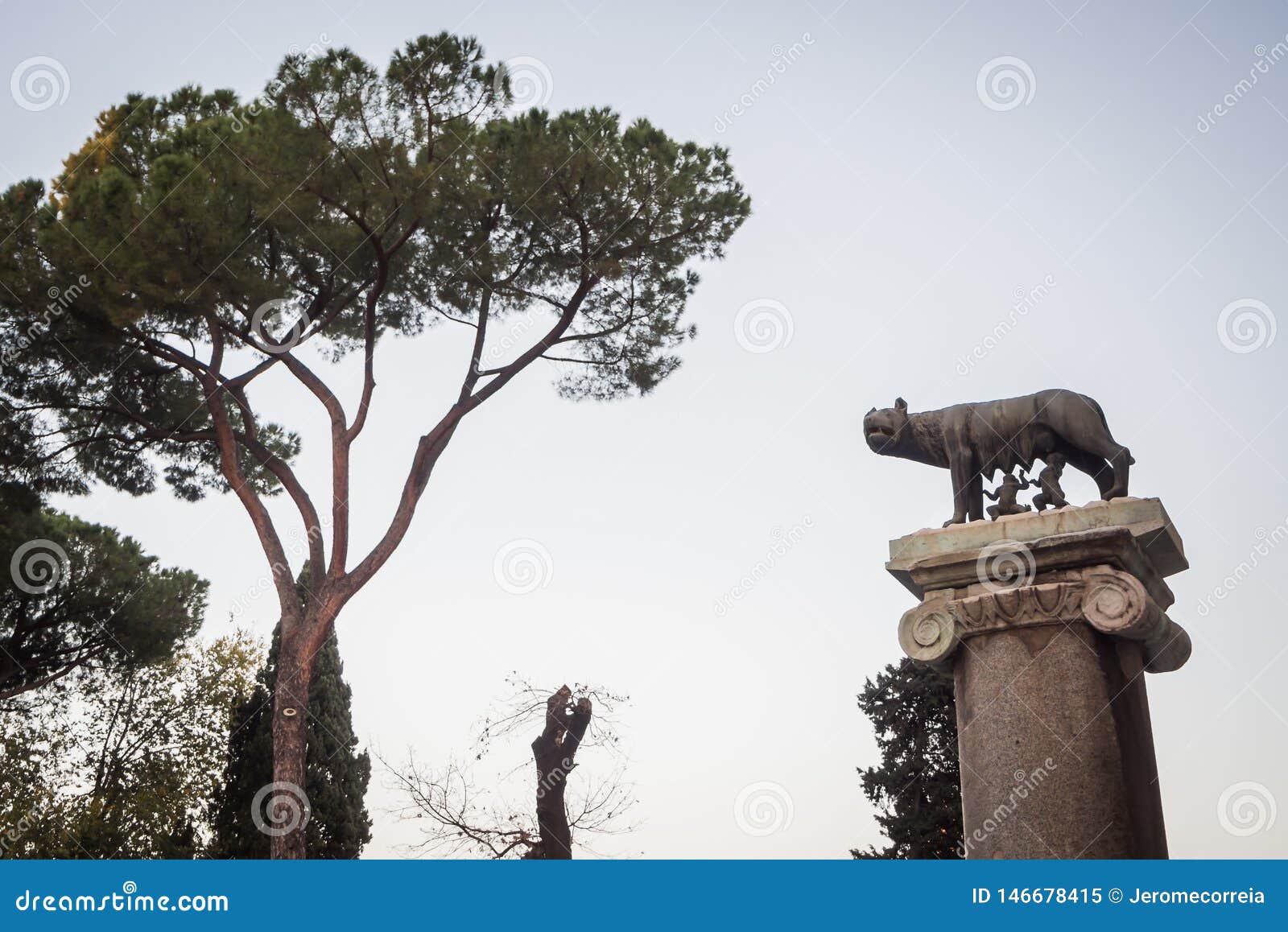 Statue of the Legend of Romulus and Remus Fed by the Wolf in Rome Stock ...