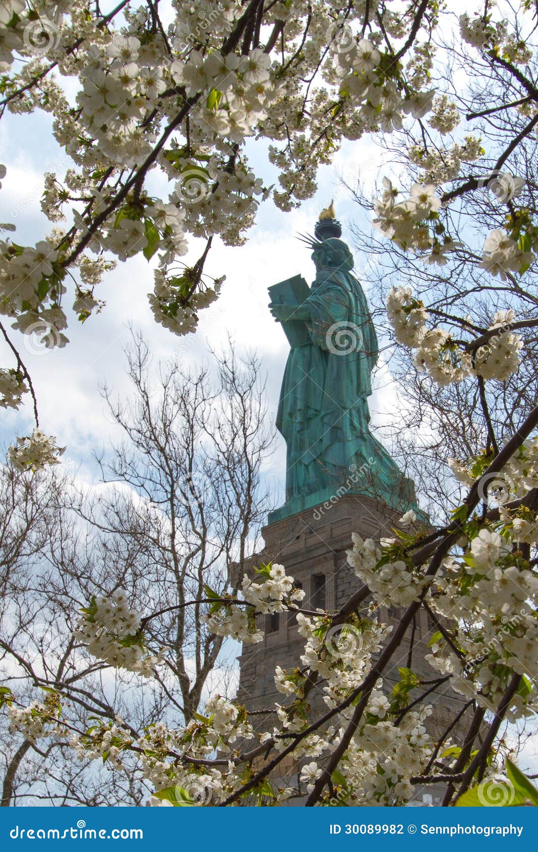Statue of Liberty in Spring Stock Photo - Image of island, blossom ...