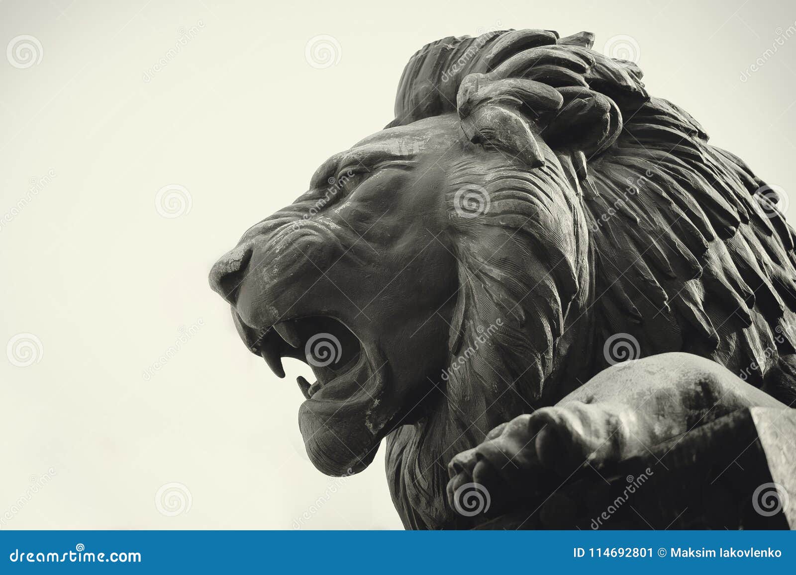 Statue of a Lion Muzzle in Profile Stock Image - Image of building ...
