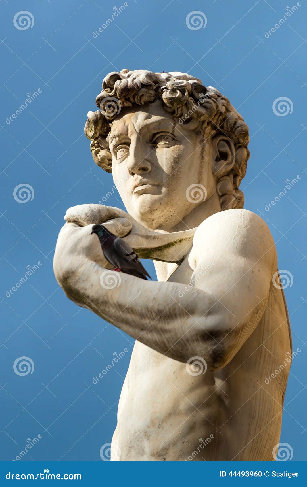 Statue of Michelangelo S David in Front of the Palazzo Vecchio I Stock ...