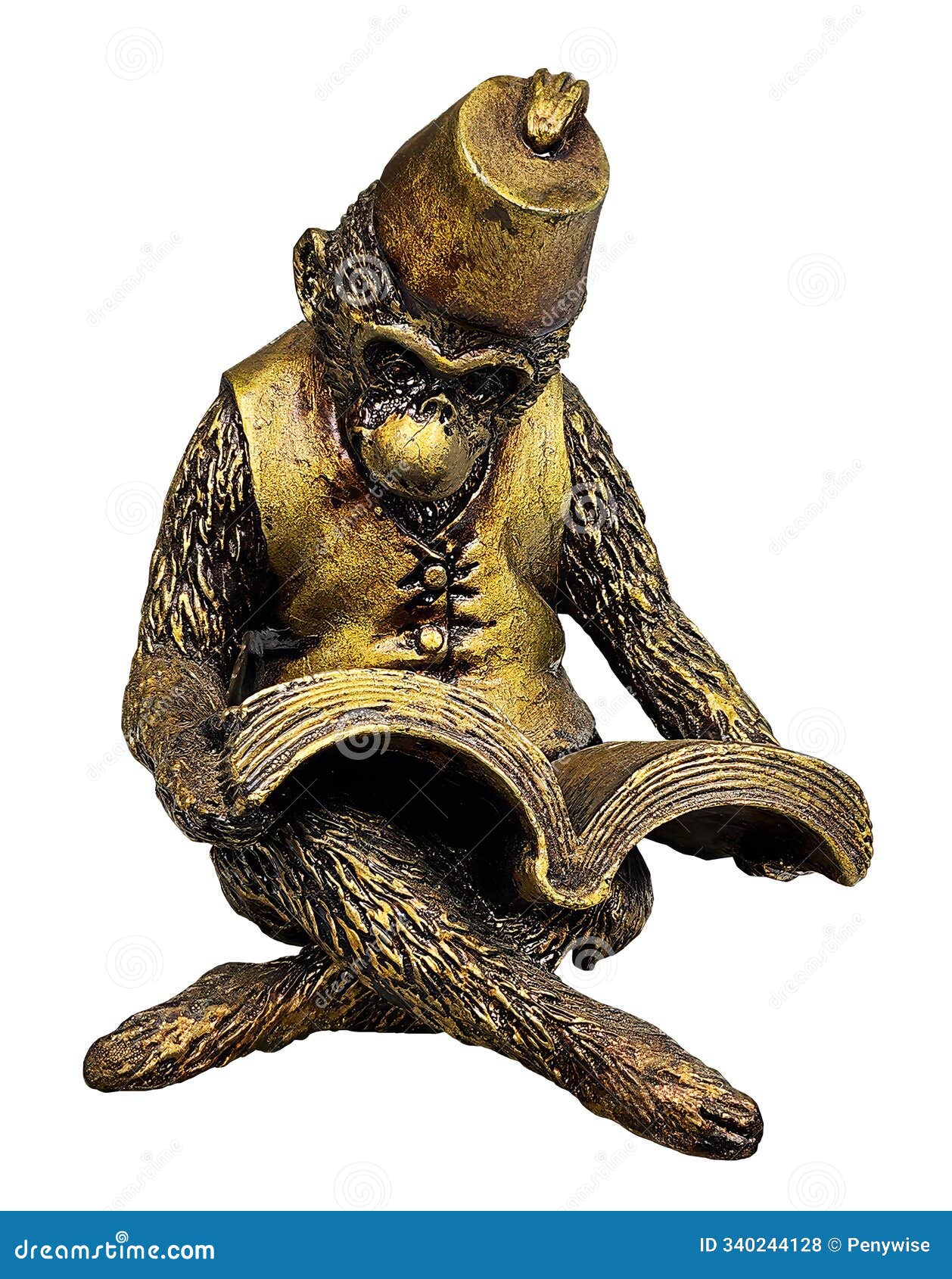 Monkey Reading stock photo. Image of tassel, antique - 340244128