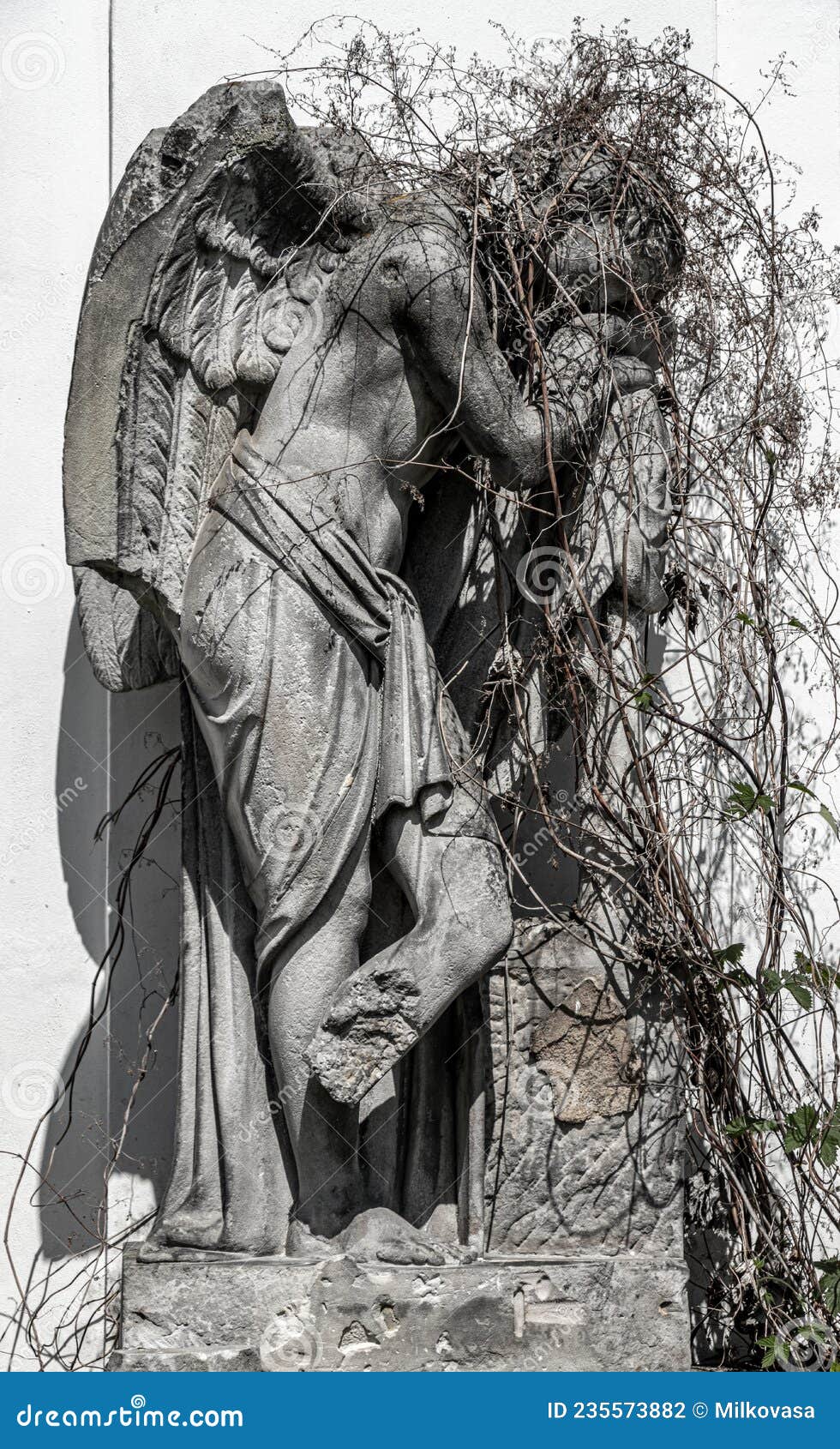 A Statue of a Mourning Angel Overgrown with Dry Ivy Stock Photo - Image ...