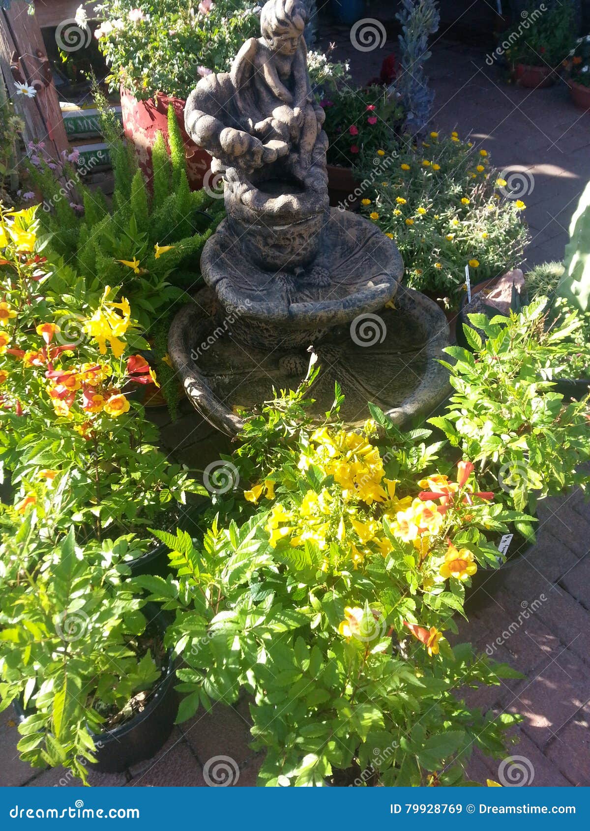 Statue with Plants Surrounding Stock Image - Image of surrounding ...