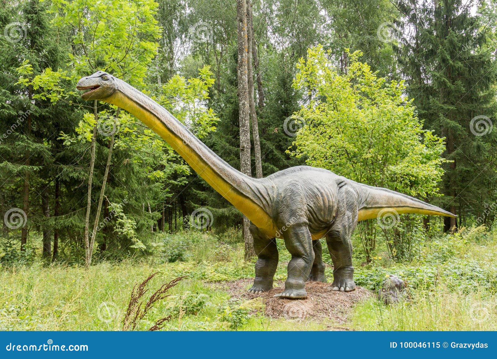 Statue of Realistic Diplodocus Dinosaur Stock Image - Image of animal ...