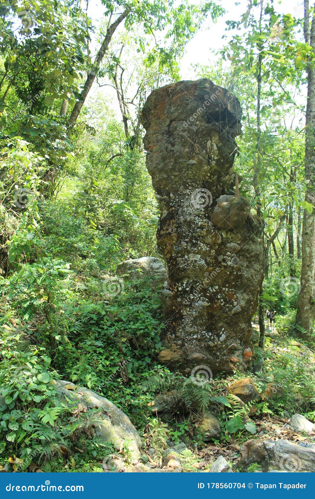 Statue Shaped Stone in the Forest Stock Photo - Image of face, religion ...