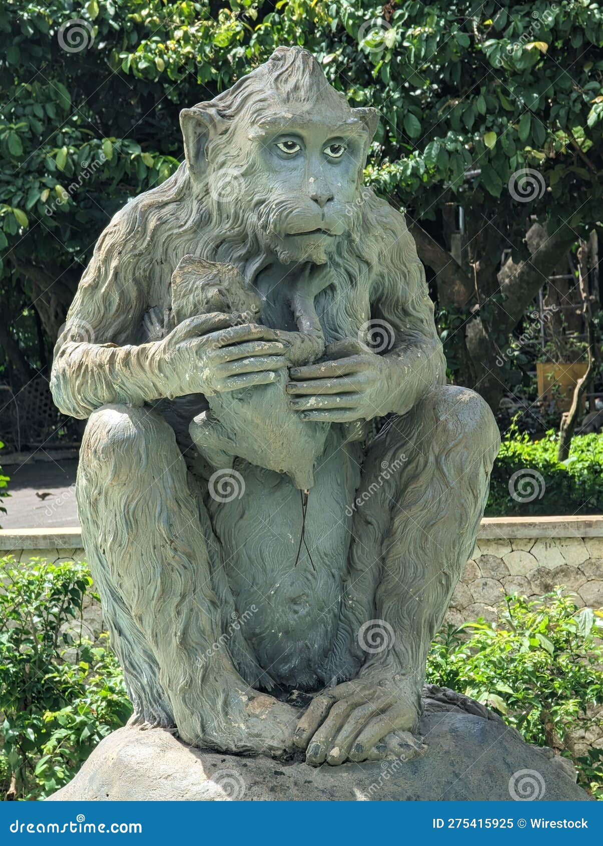 Statue of a Sitting Monkey on a Rock in a Garden Stock Image - Image of ...