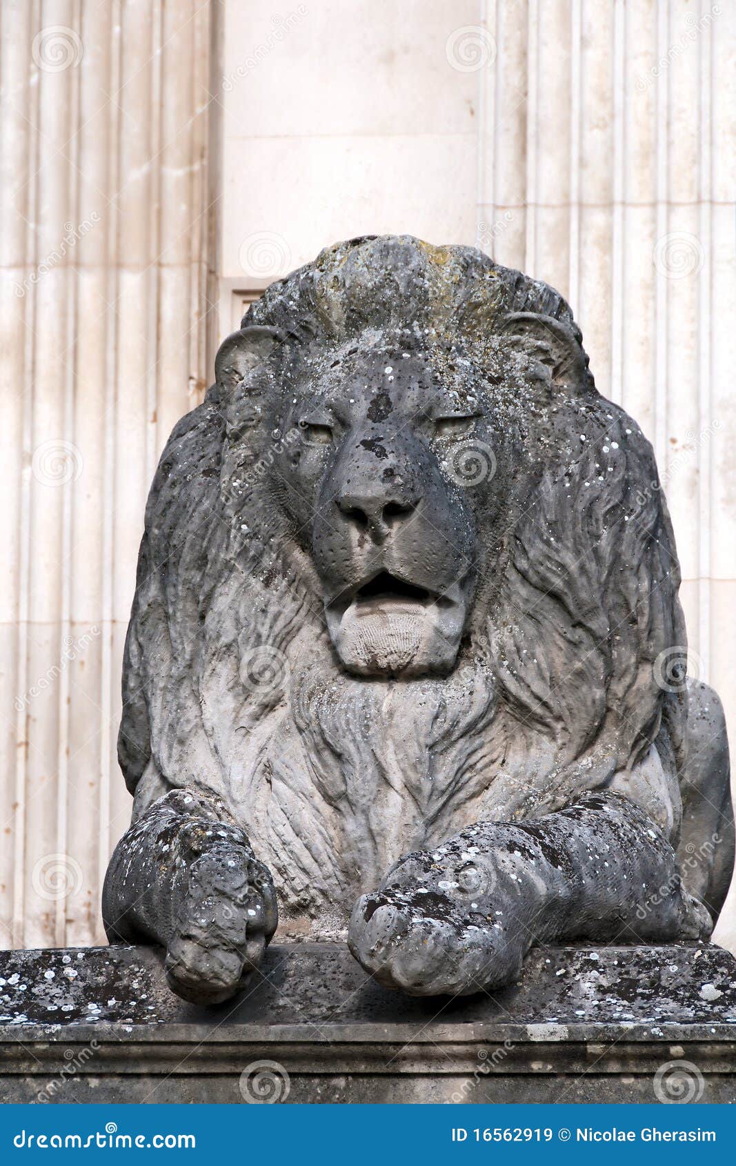 Statue of stone lion stock image. Image of looking, exterior - 16562919
