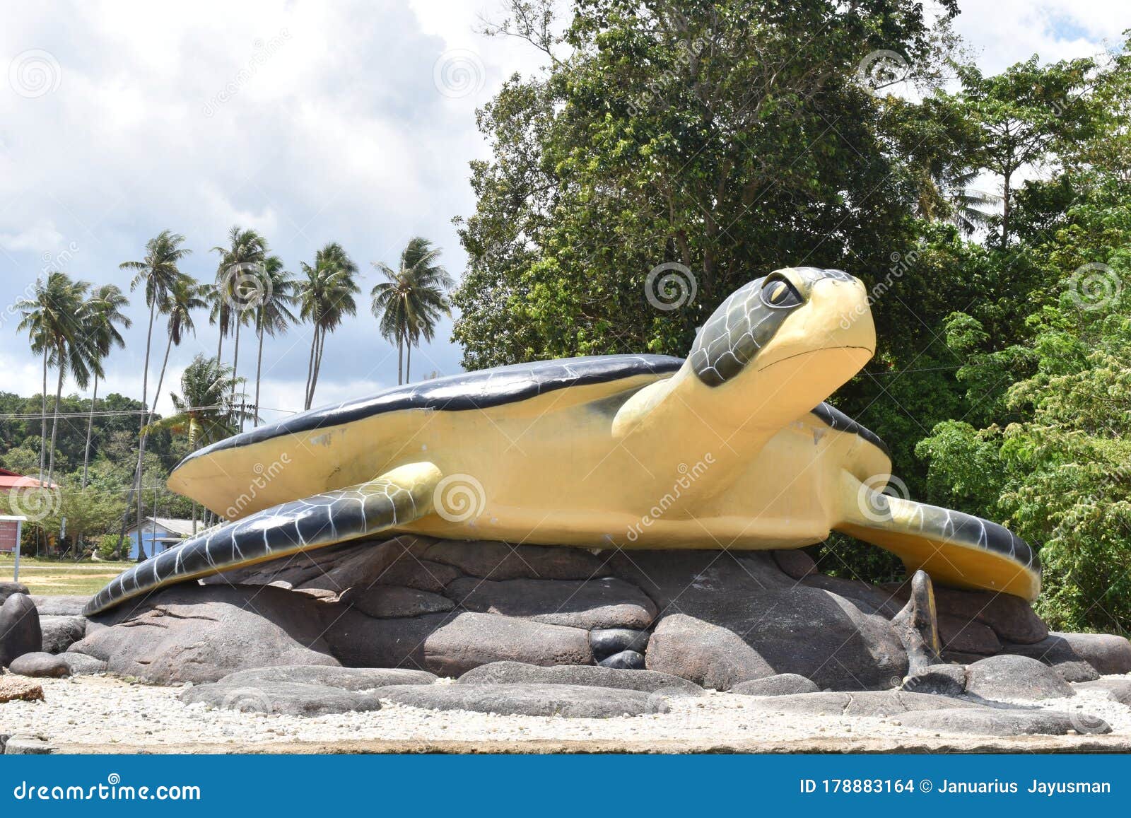 The Statue of a Turtle on the Edge of the Sakera Beach Stock Photo ...